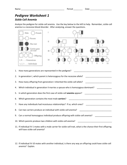 17 Pedigree Chart Worksheet Page 2 Free To Edit Download Print 